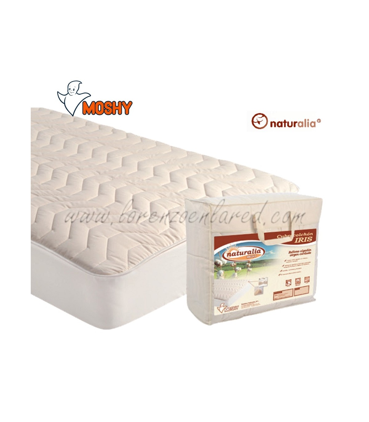 Moshy Iris al mejor precio